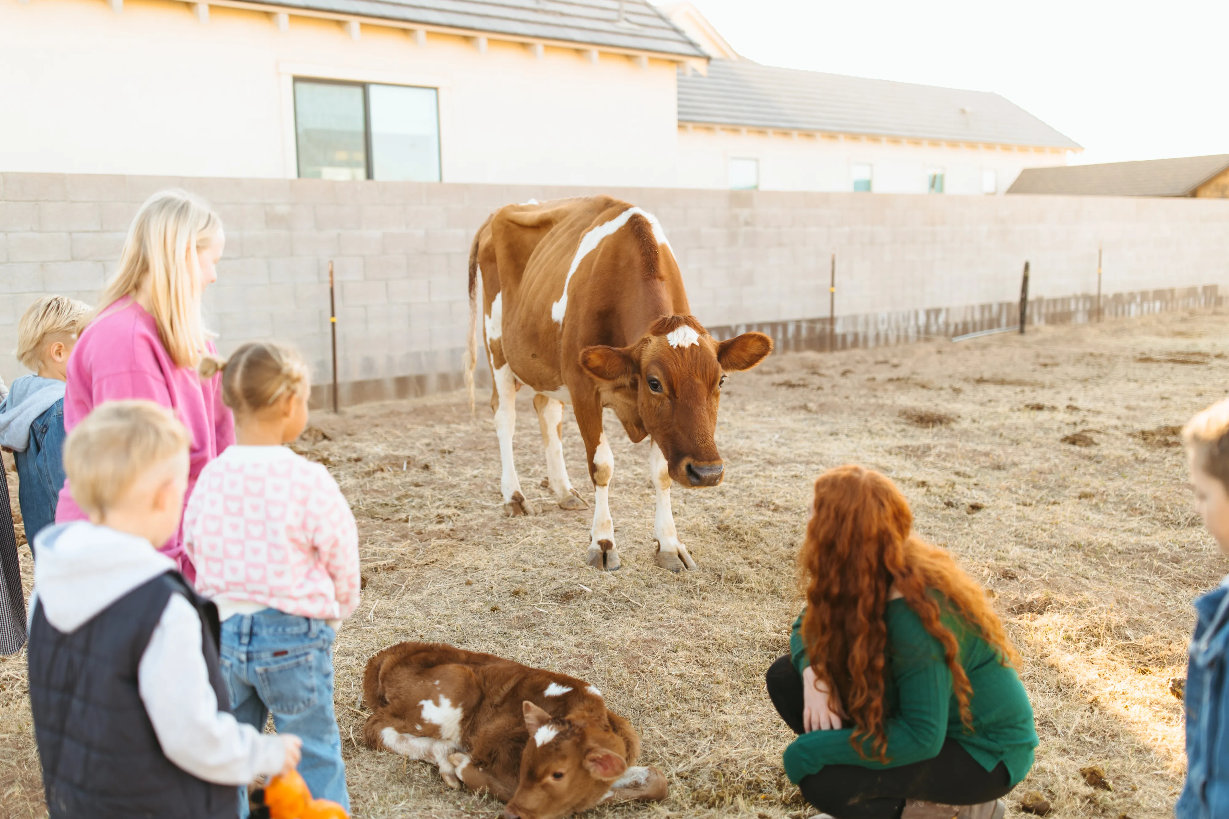 Harper Farm School | Gilbert, Arizona